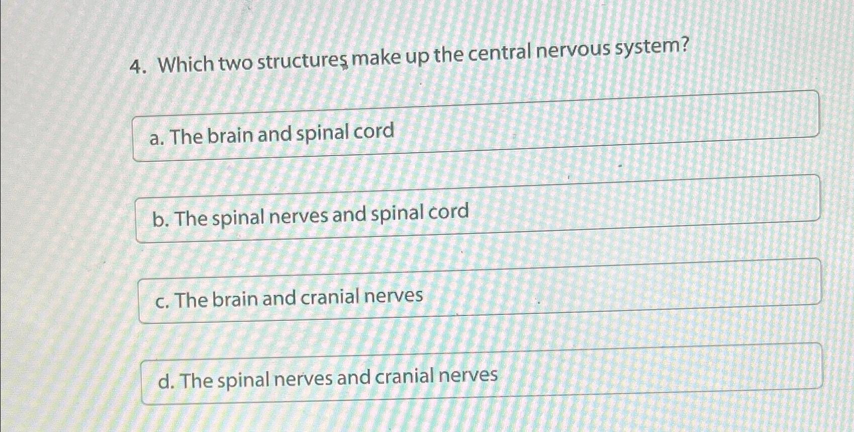 Solved Which two structures make up the central nervous | Chegg.com