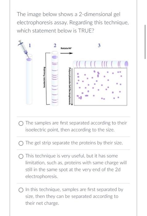 Solved The image below shows a 2-dimensional gel | Chegg.com