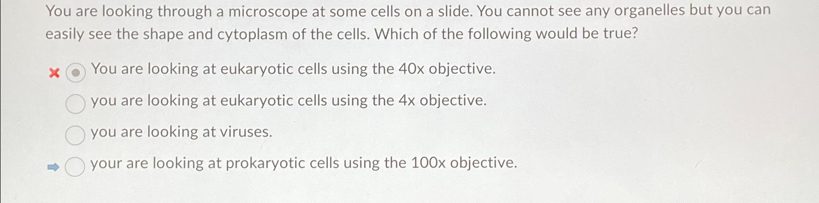 Solved You are looking through a microscope at some cells on | Chegg.com