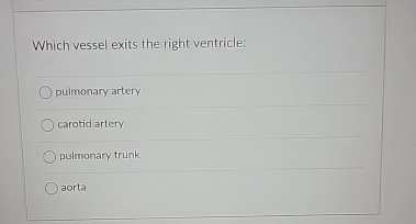 Solved Which vessel exits the right ventricle:puimonary | Chegg.com