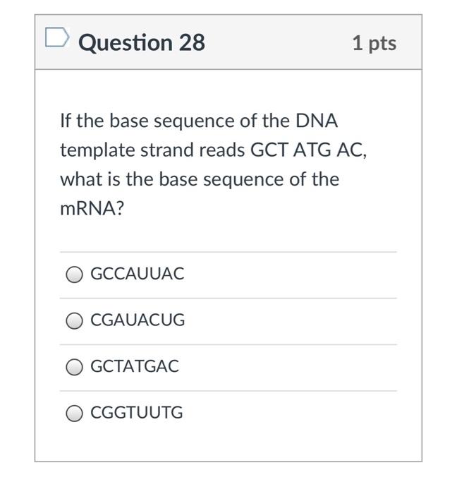 Solved Question 28 1 pts If the base sequence of the DNA | Chegg.com