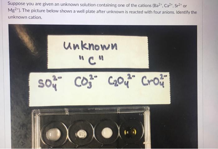 Solved Suppose you need to identify an unknown cation (Ba2+, | Chegg.com