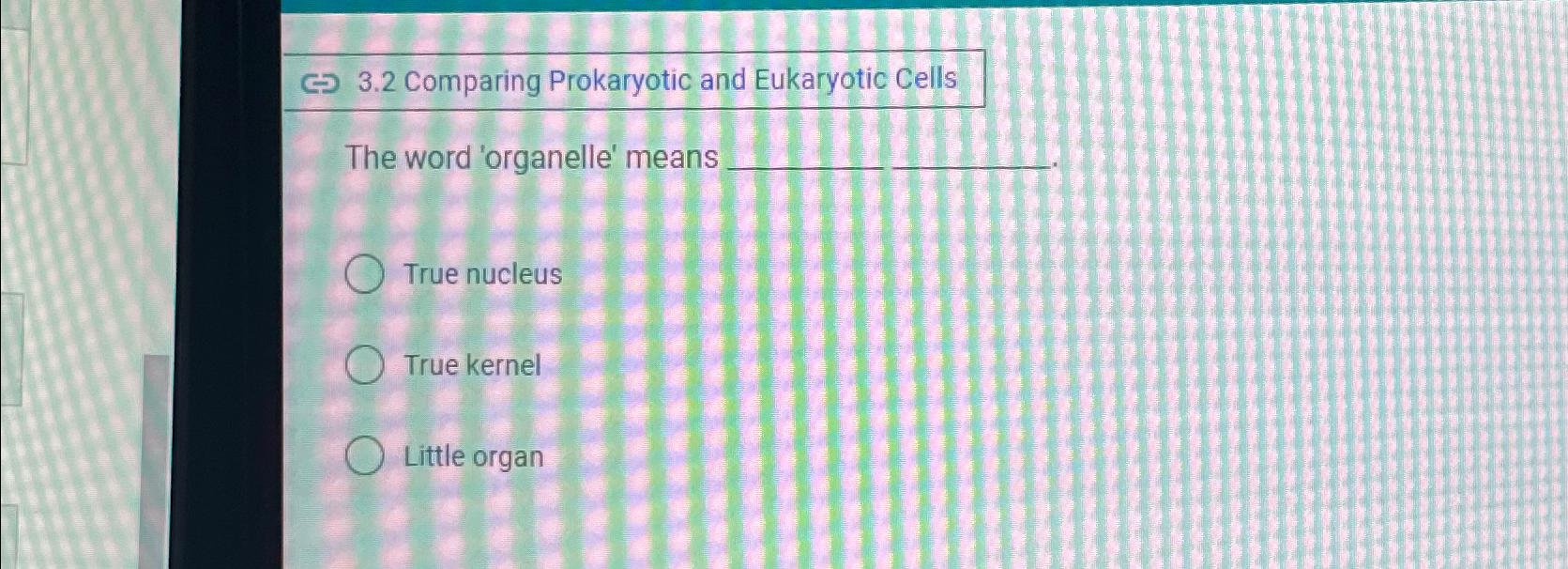 Solved ( 3.2 ﻿Comparing Prokaryotic and Eukaryotic CellsThe | Chegg.com