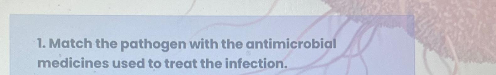 Solved Match the pathogen with the antimicrobial medicines | Chegg.com