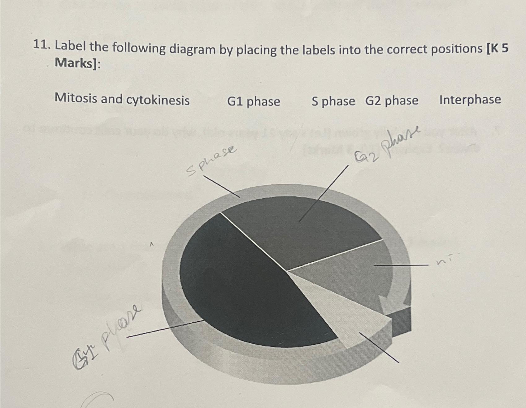 Solved Label the following diagram by placing the labels | Chegg.com