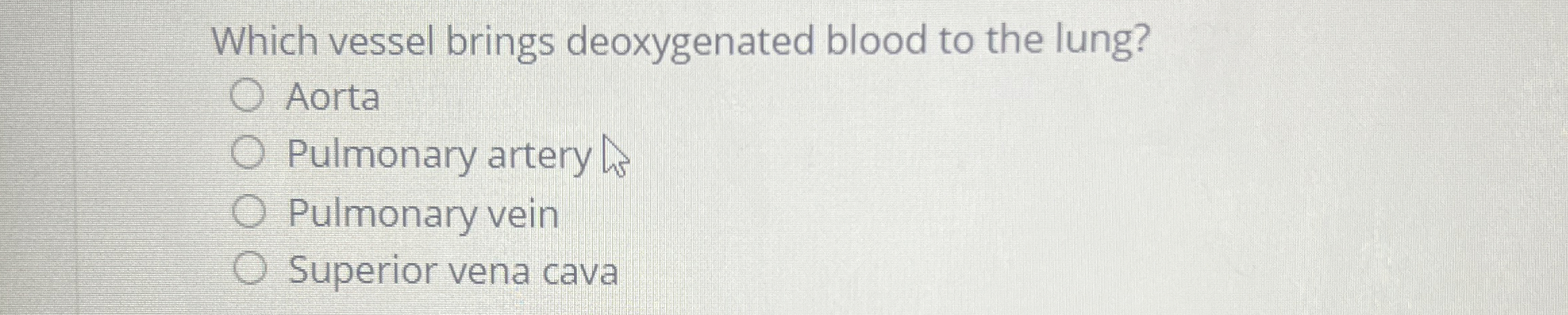 Solved Which vessel brings deoxygenated blood to the | Chegg.com