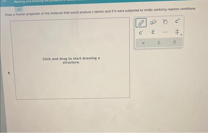 Solved Draw a Fischer projection of the molecule that would | Chegg.com