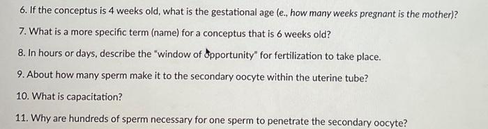 Solved 6. If the conceptus is 4 weeks old, what is the | Chegg.com
