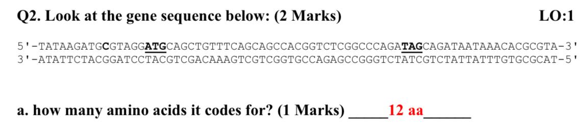 Solved Q2. ﻿Look at the gene sequence below: (2 | Chegg.com