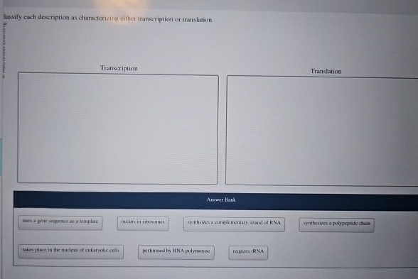 Solved lassify each description as characterizing either | Chegg.com