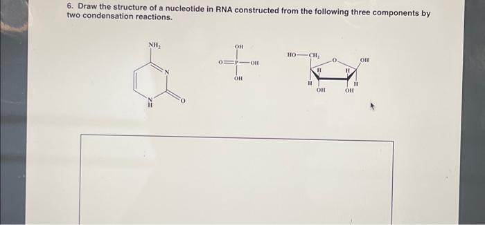 Solved 6. Draw the structure of a nucleotide in RNA | Chegg.com