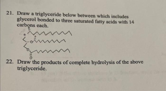 Solved 21. Draw a triglyceride below between which includes | Chegg.com