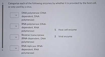 Solved Categorize each of the following enzymes by whether | Chegg.com