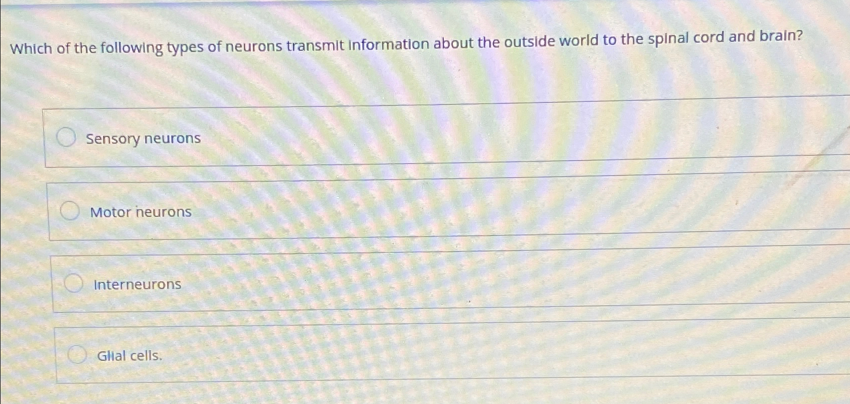 Solved Which of the following types of neurons transmit | Chegg.com