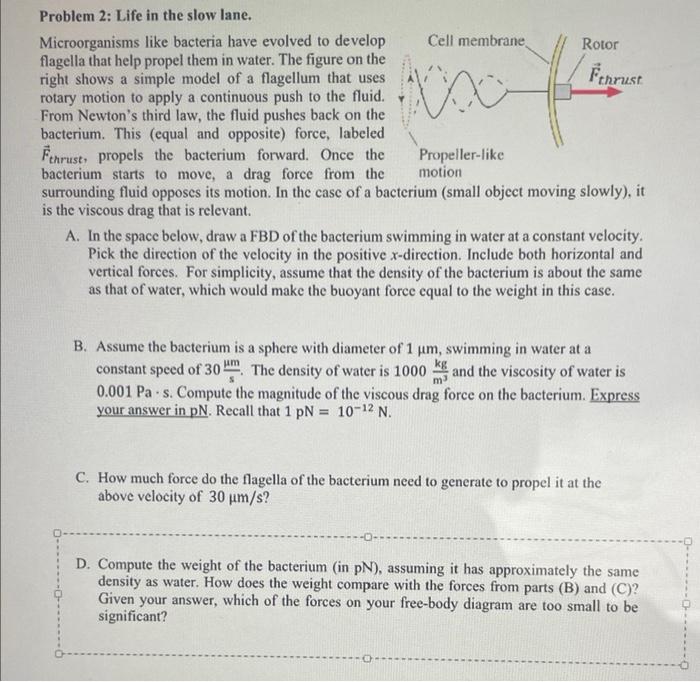 Solved Problem 2: Life in the slow lane. Microorganisms like | Chegg.com