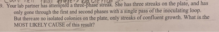 Solved 9. Your lab partner has attempted a three-phase | Chegg.com