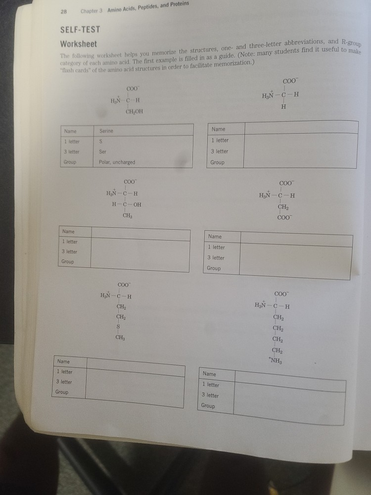 Solved Chapter 3 Amino Acids, Peptides, and Proteins The | Chegg.com