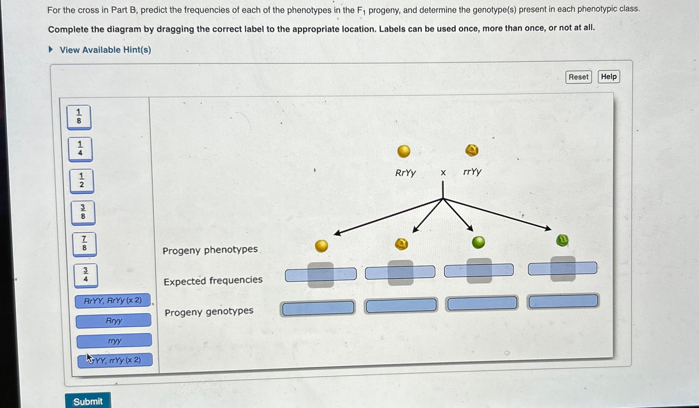 Solved For the cross in Part B, predict the frequencies of | Chegg.com Solved For the cross in Part B, predict the frequencies of | Chegg.com