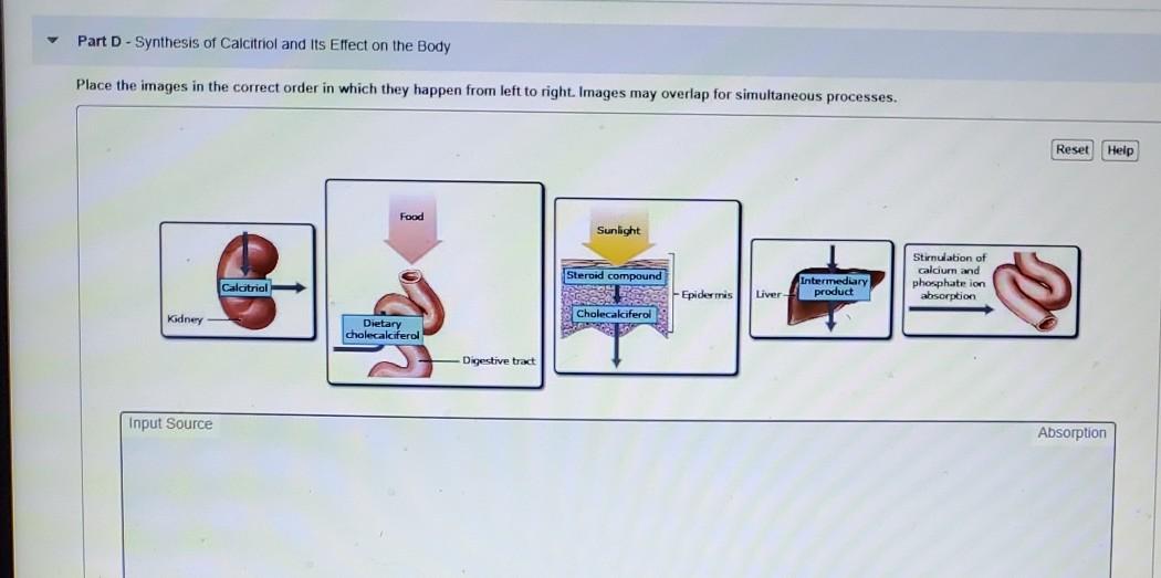 Solved Part D - Synthesis of Calcitriol and Its Effect on | Chegg.com Solved Part D - Synthesis of Calcitriol and Its Effect on | Chegg.com