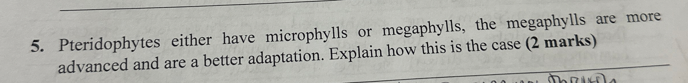 Solved Pteridophytes either have microphylls or megaphylls, | Chegg.com