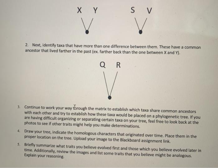 Solved Part 2: Creating a tree Using Table 2 from Part 1 | Chegg.com