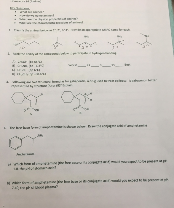 Solved Homework 16 (Amines) Key Questions: • What are | Chegg.com