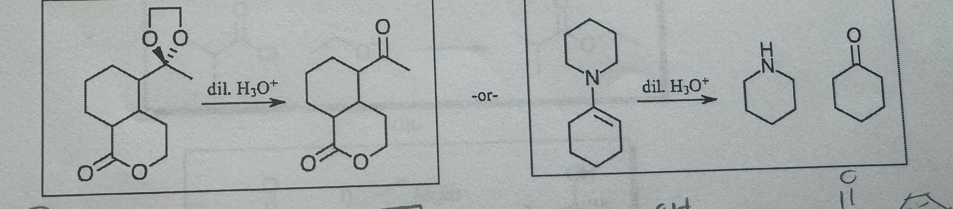 Perform both mechanisms showing all steps | Chegg.com