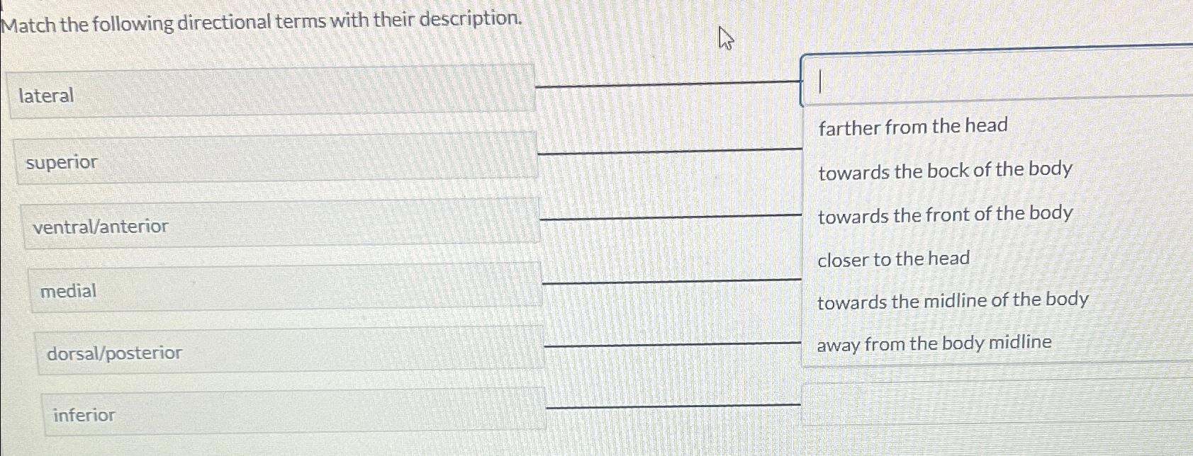 Solved Match the following directional terms with their | Chegg.com