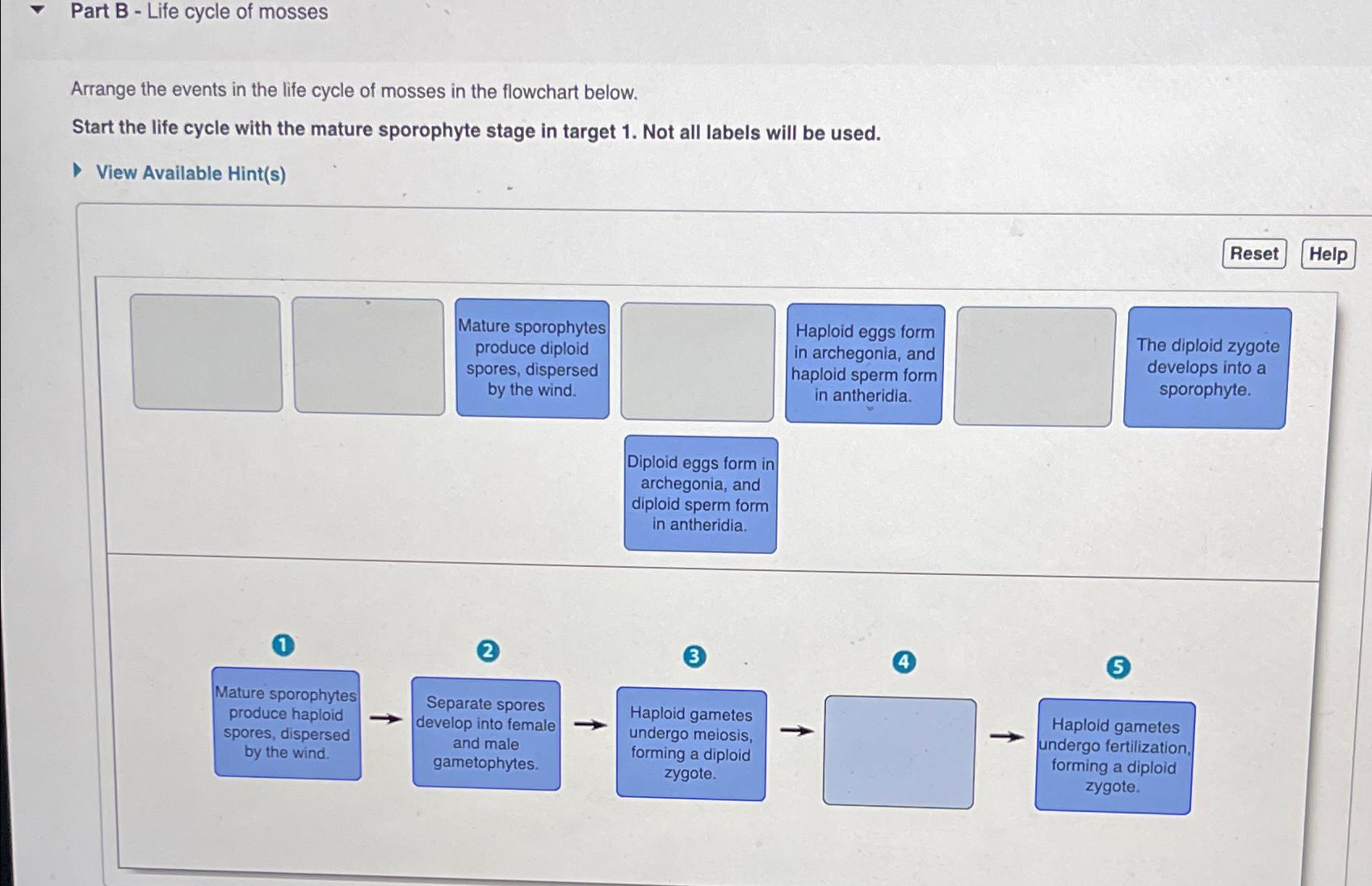 Solved Part B - ﻿Life cycle of mossesArrange the events in | Chegg.com