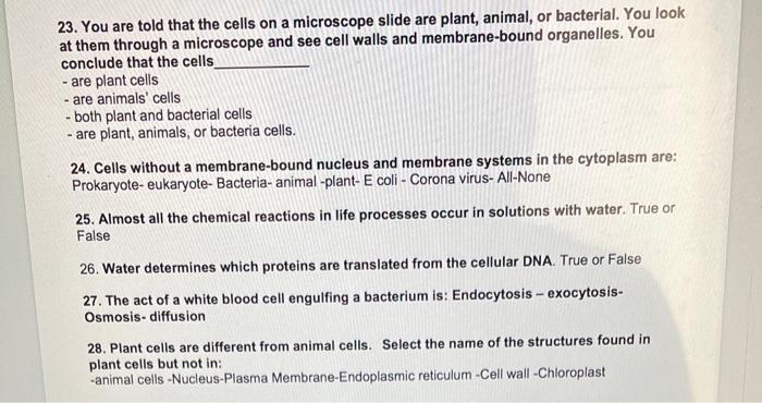 Bacterial Cell Microscope Slide