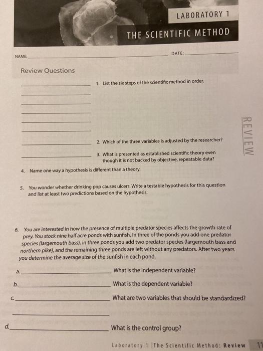 Solved LABORATORY 1 THE SCIENTIFIC METHOD DATE: NAME: Review | Chegg.com