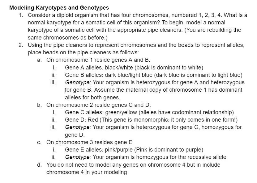 Solved Can someone help how to do this lab and explain the | Chegg.com