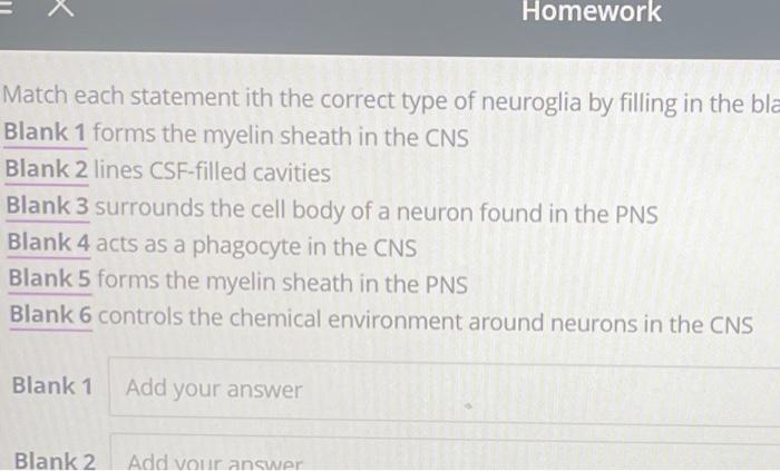 Solved Match each statement ith the correct type of | Chegg.com