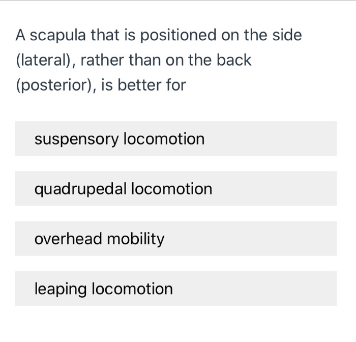 Solved Both baboons and chimpanzees have postorbital | Chegg.com