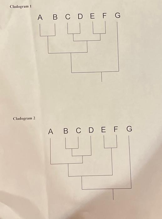Solved 2) Use the character/taxon matrix below. (35pts) A. | Chegg.com