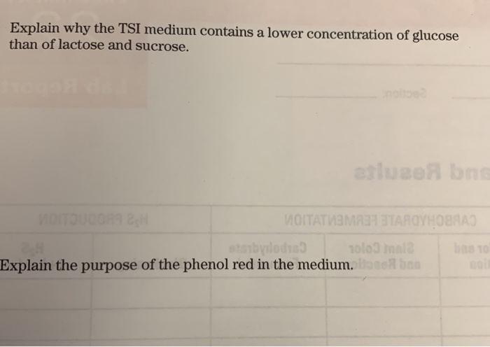 Solved Explain why the TSI medium contains a lower | Chegg.com