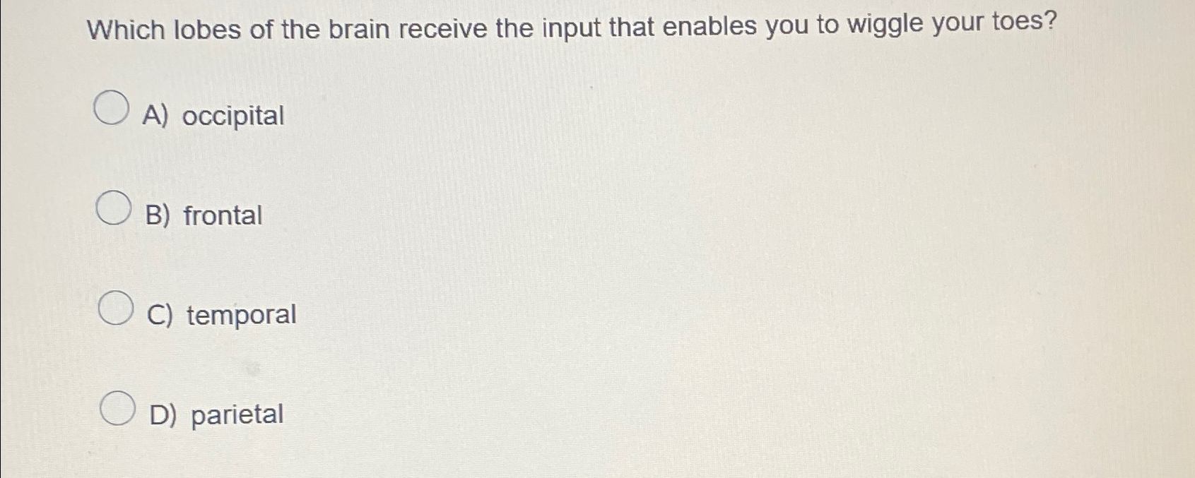 Solved Which lobes of the brain receive the input that | Chegg.com