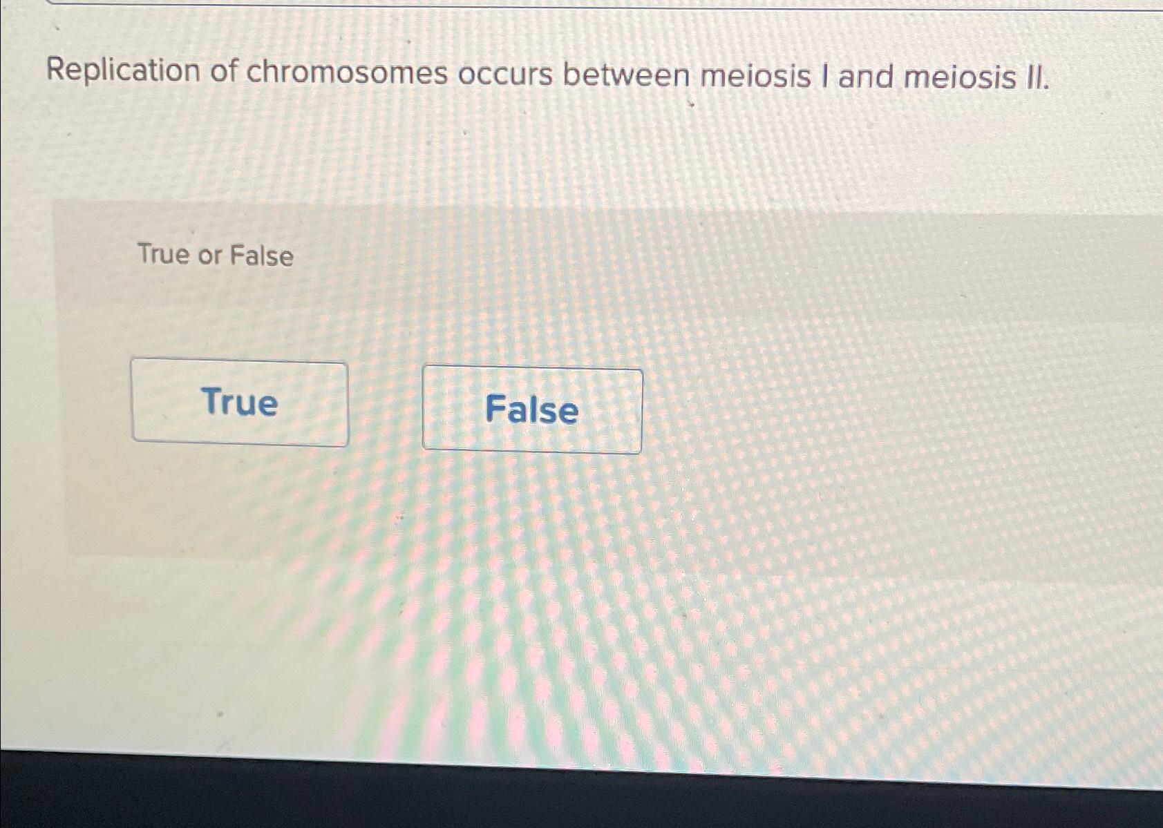 Solved Replication of chromosomes occurs between meiosis I | Chegg.com