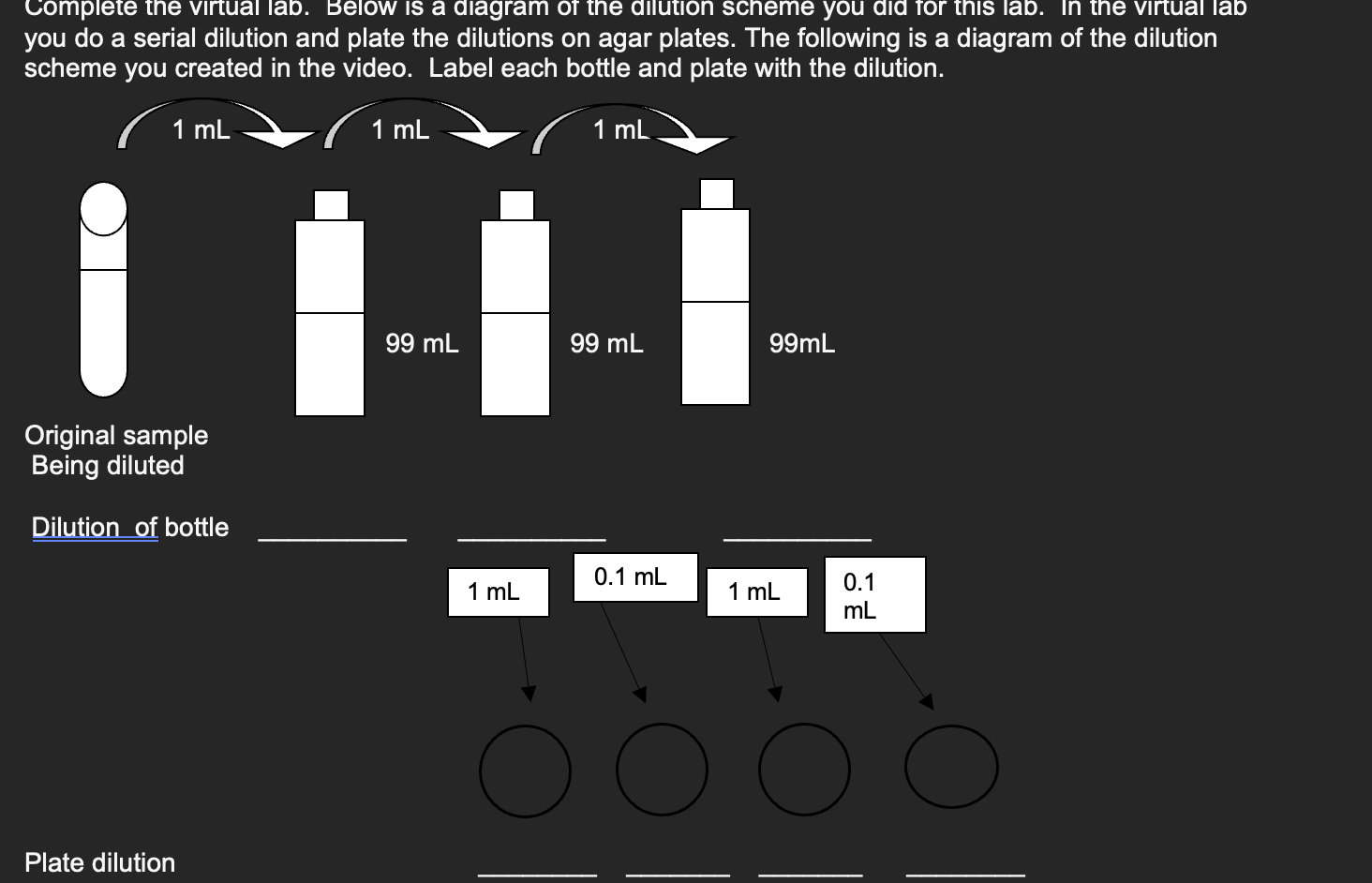 Solved Complete the virtual lab. Below is a diagram of the | Chegg.com