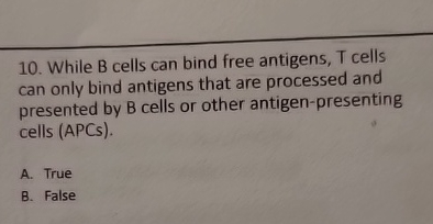 Solved While B cells can bind free antigens, T ﻿cells can | Chegg.com