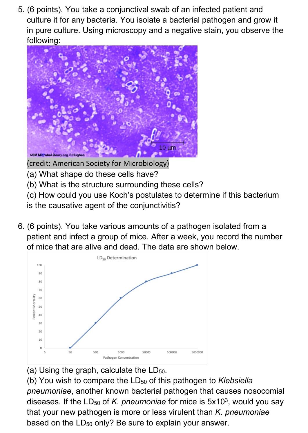 Solved 5. (6 points). You take a conjunctival swab of an | Chegg.com