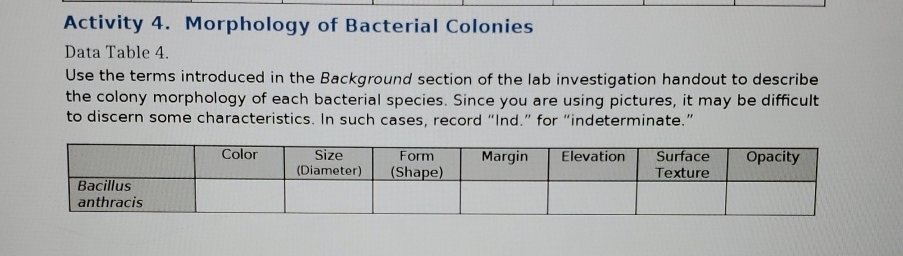 Solved Activity 4. ﻿Morphology of Bacterial ColoniesData | Chegg.com