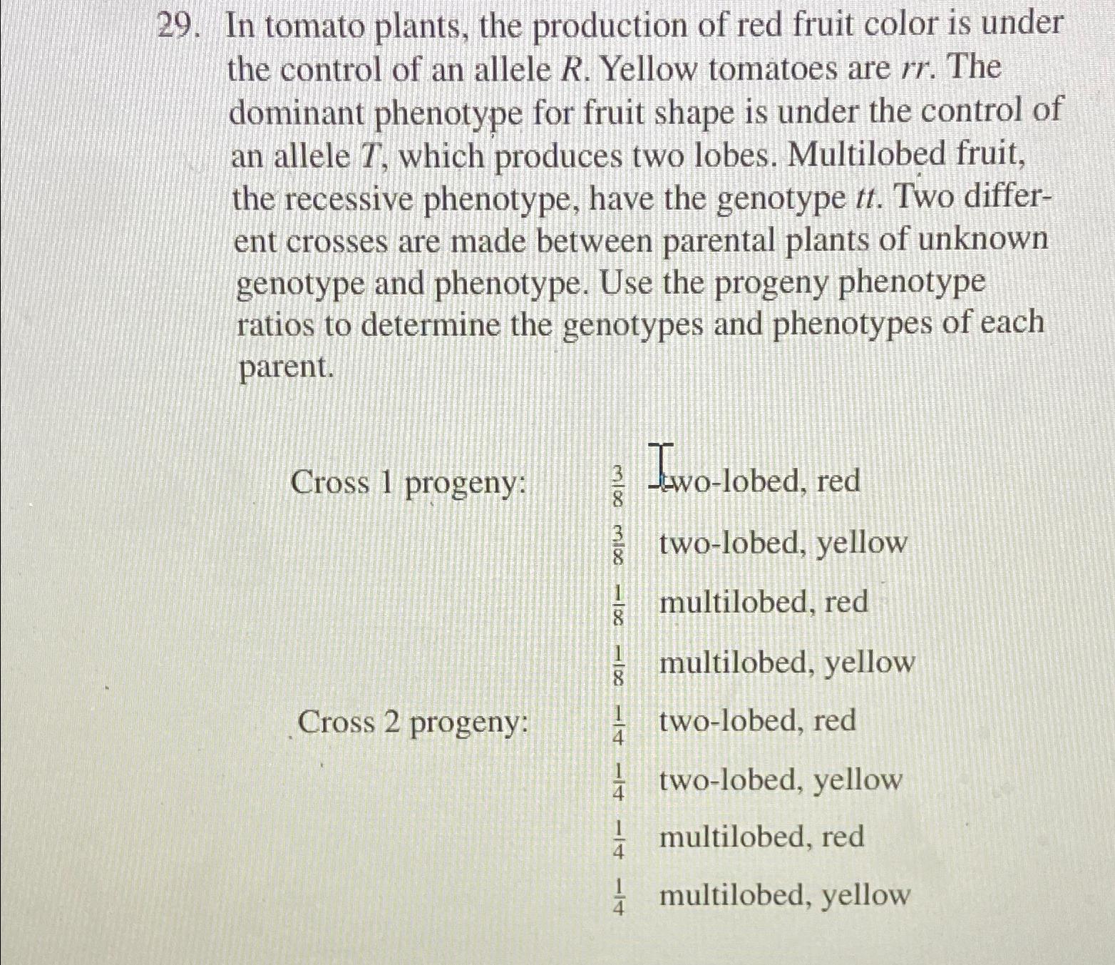 Solved In tomato plants, the production of red fruit color | Chegg.com