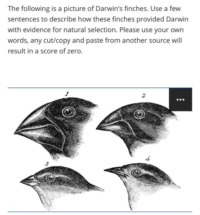 Solved The following is a picture of Darwin's finches. Use a | Chegg.com