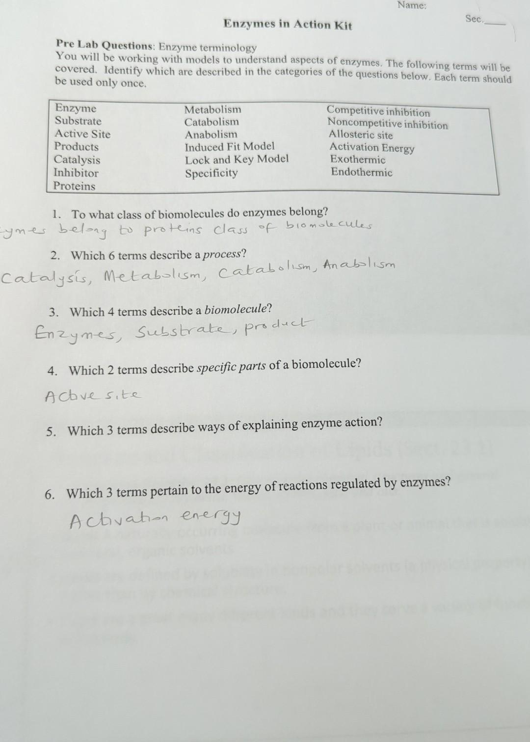 Solved Pre Lab Questions: Enzyme terminology You will be | Chegg.com