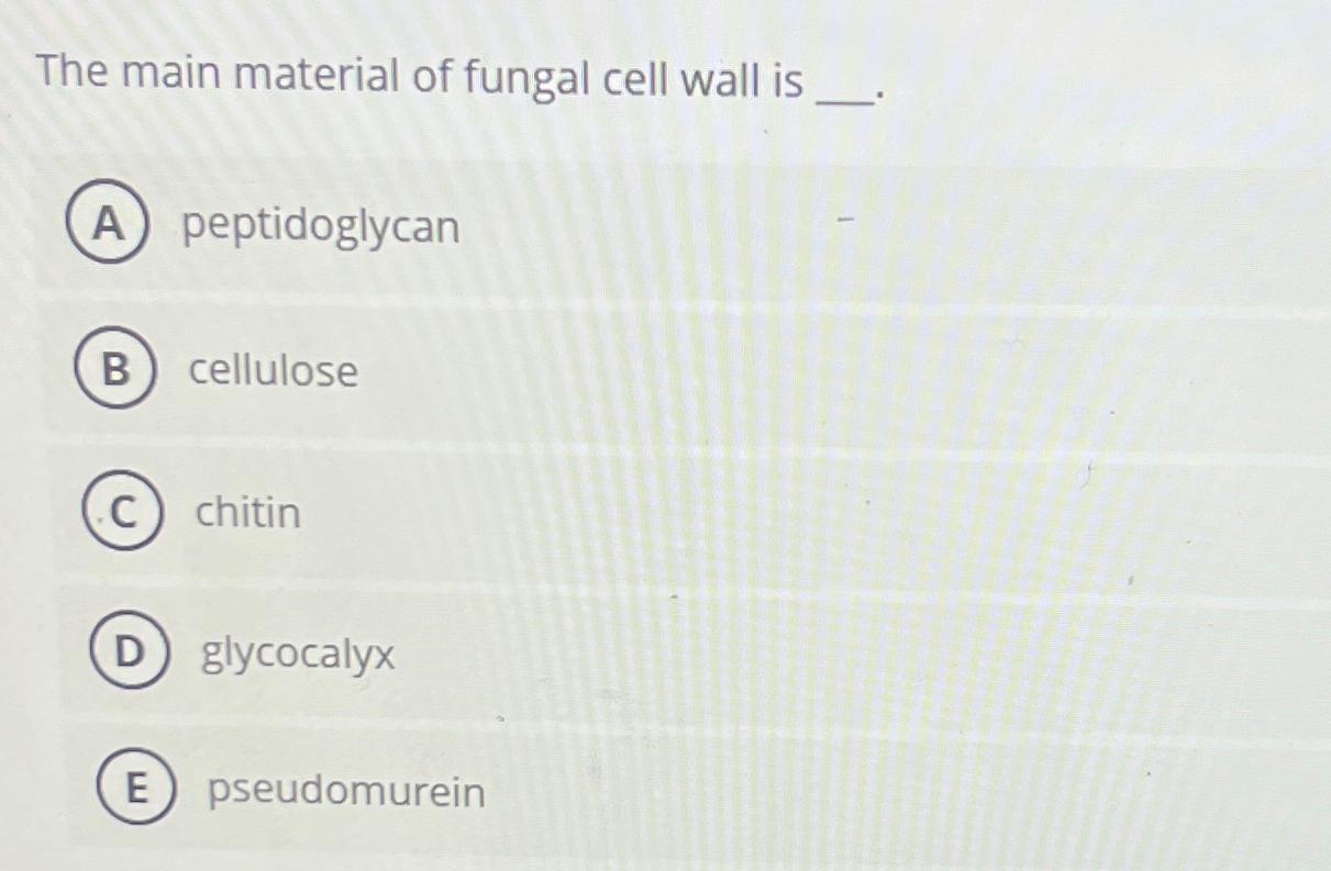 Solved The main material of fungal cell wall | Chegg.com