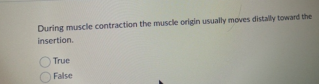 Solved During muscle contraction the muscle origin usually | Chegg.com