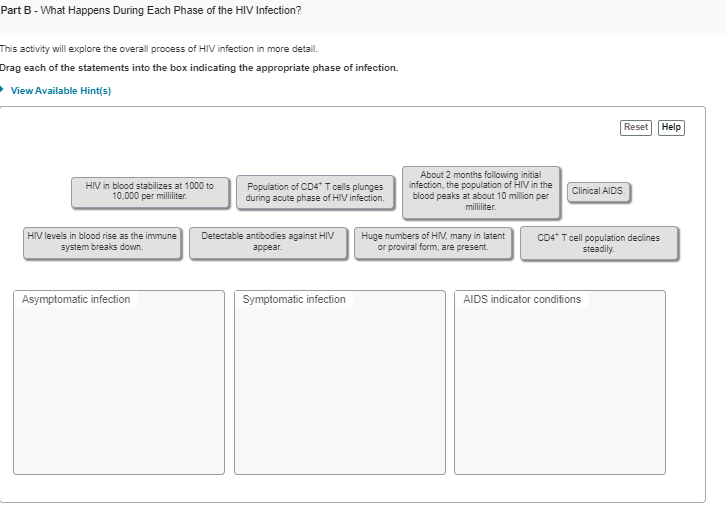 Solved Part B - ﻿What Happens During Each Phase of the HIV | Chegg.com