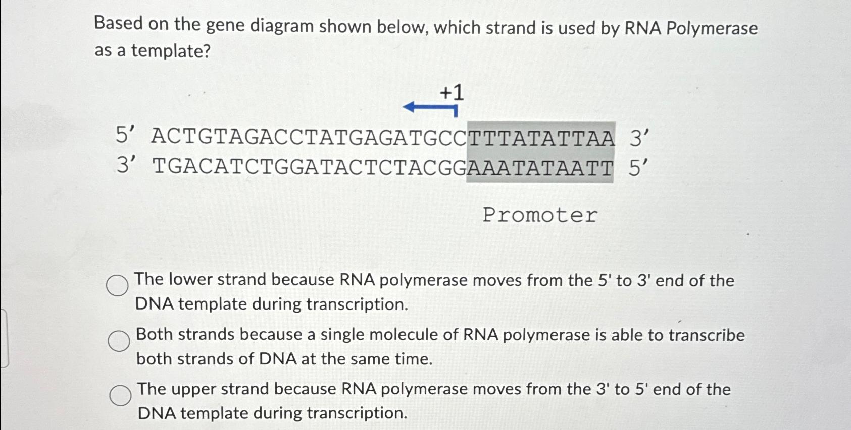 Solved Based on the gene diagram shown below, which strand | Chegg.com