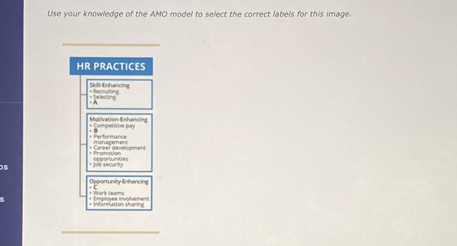 Solved Use your knowledge of the AMO model to select the | Chegg.com